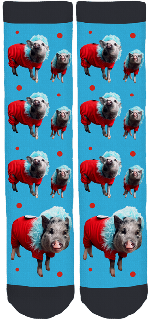 Paddington Baird the Pig Crew Socks | Tribe Socks