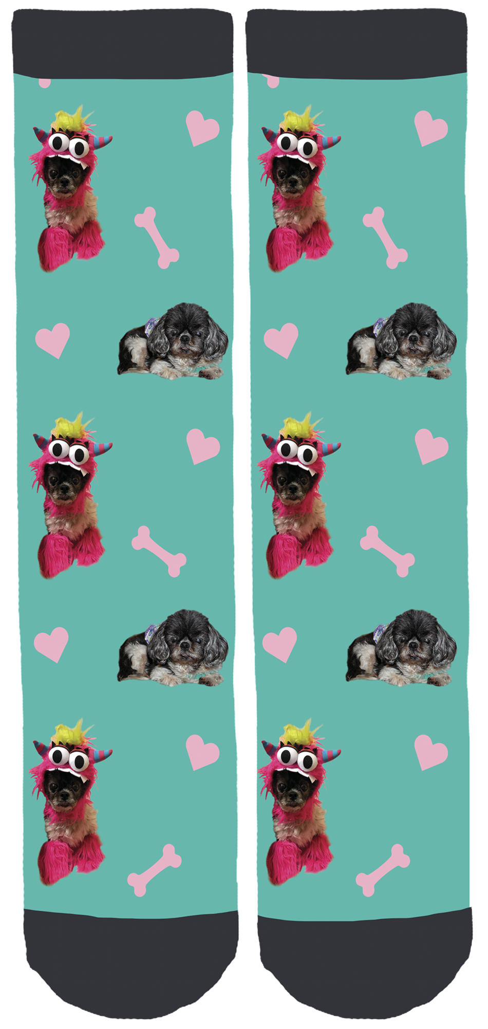 Sprinkles SASS Socks | Tribe Socks